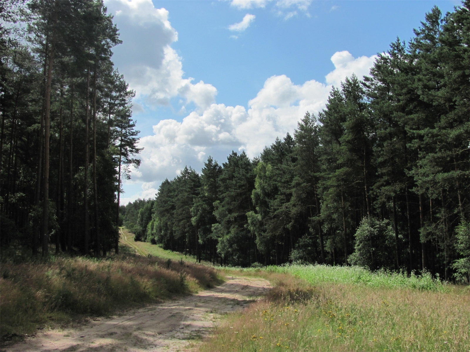 Unterluess - A small village centered in the Luess Forest in Northern ...
