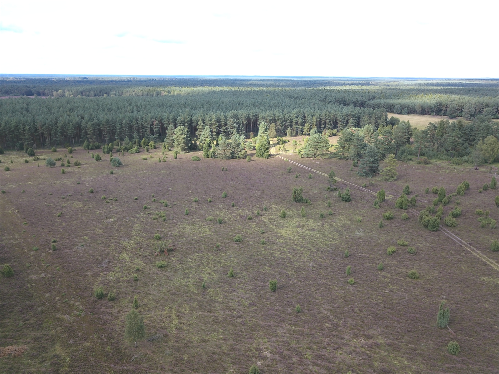 Unterluess - A small village centered in the Luess Forest in Northern ...